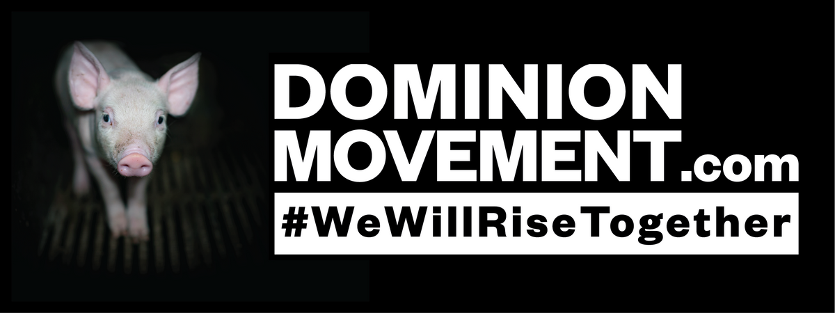 Bumper Sticker (DominionMovement.com) – Farm Transparency Project