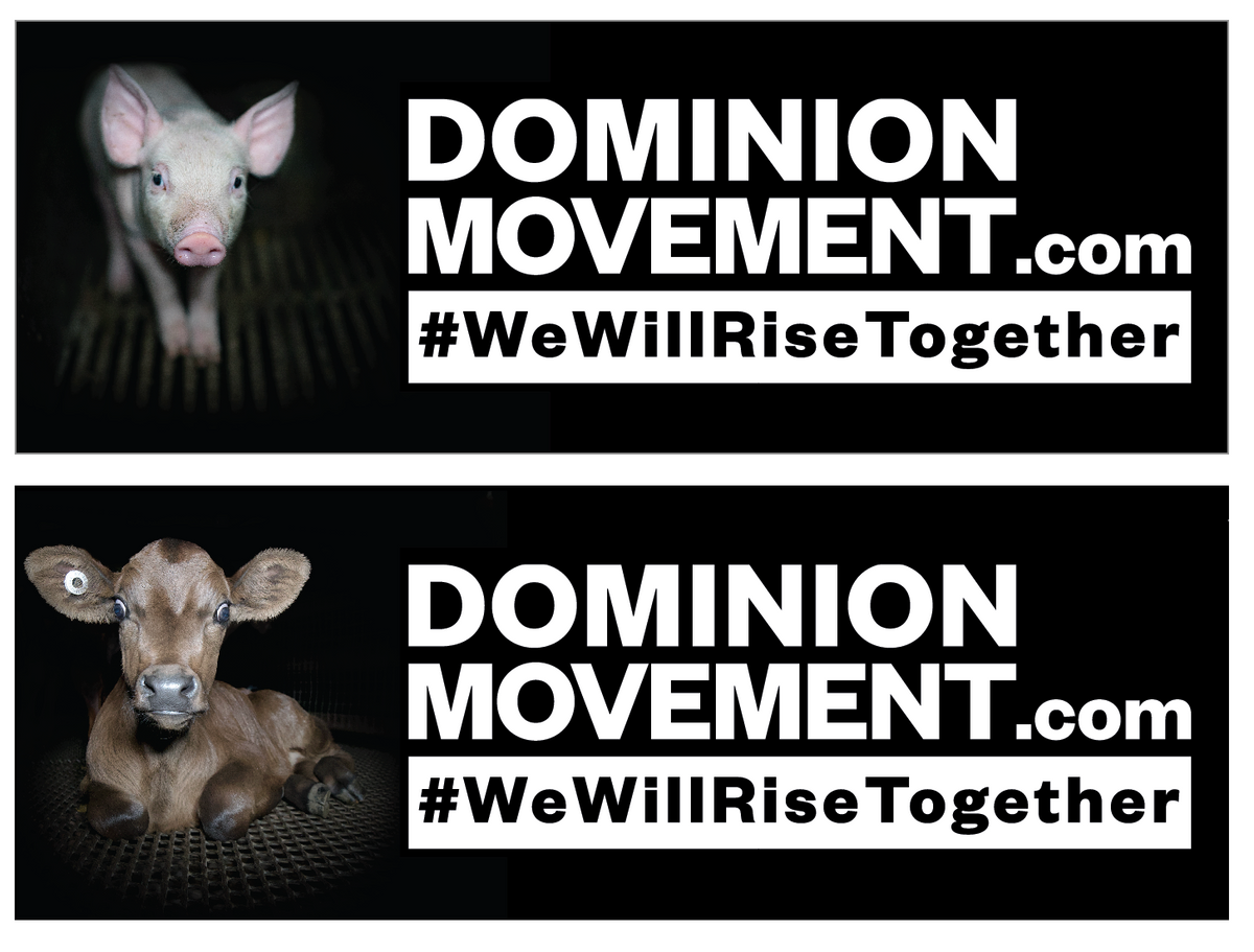 Bumper Sticker (DominionMovement.com) – Farm Transparency Project